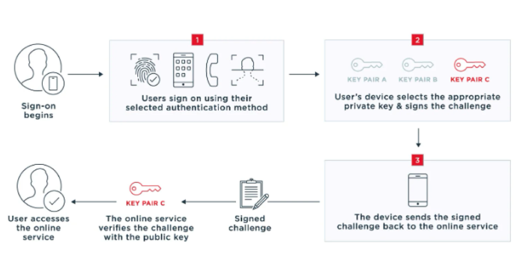 How FIDO Makes Passwordless Authentication Works - Security Investigation
