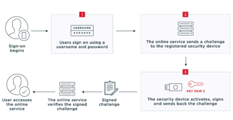 How FIDO Makes Passwordless Authentication Works - Security Investigation
