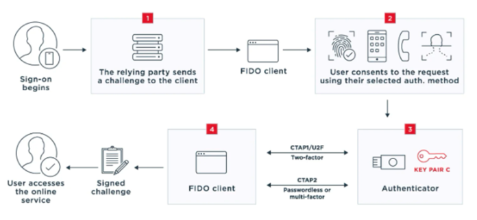 How Fido Makes Passwordless Authentication Works Security Investigation
