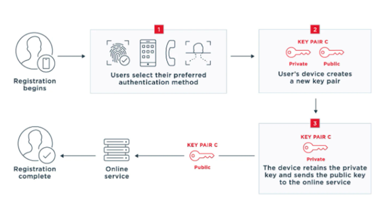 How FIDO Makes Passwordless Authentication Works - Security Investigation