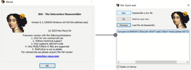 The Interactive Disassembler – IDA Pro - Security Investigation